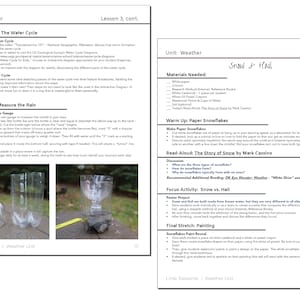 Weather - Elementary Science Unit - Etsy