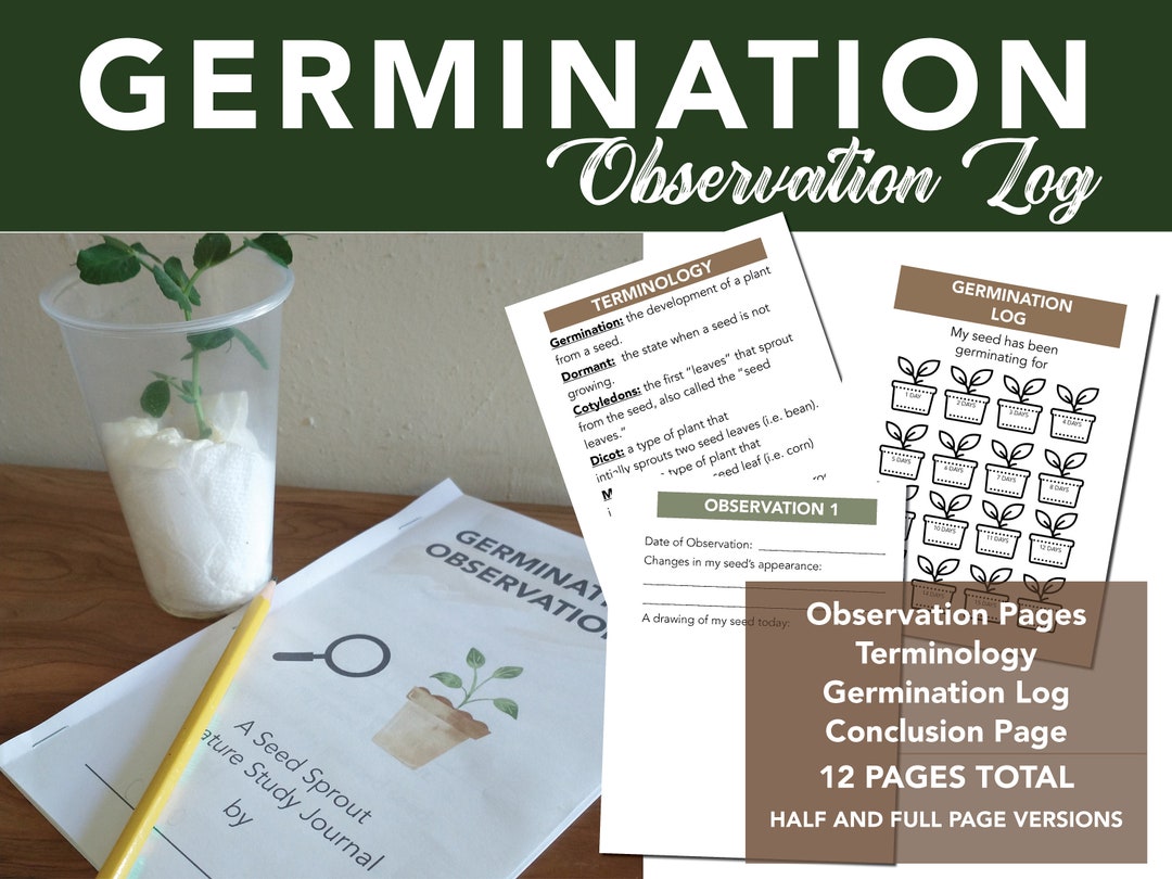 Germination Observation Log - Elementary Science Supplement - Etsy