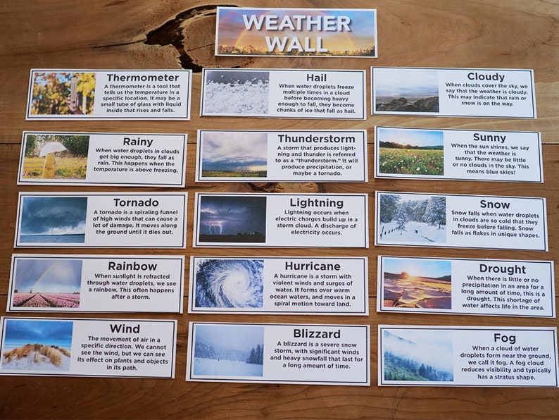 Weather - Elementary Science Unit - Etsy