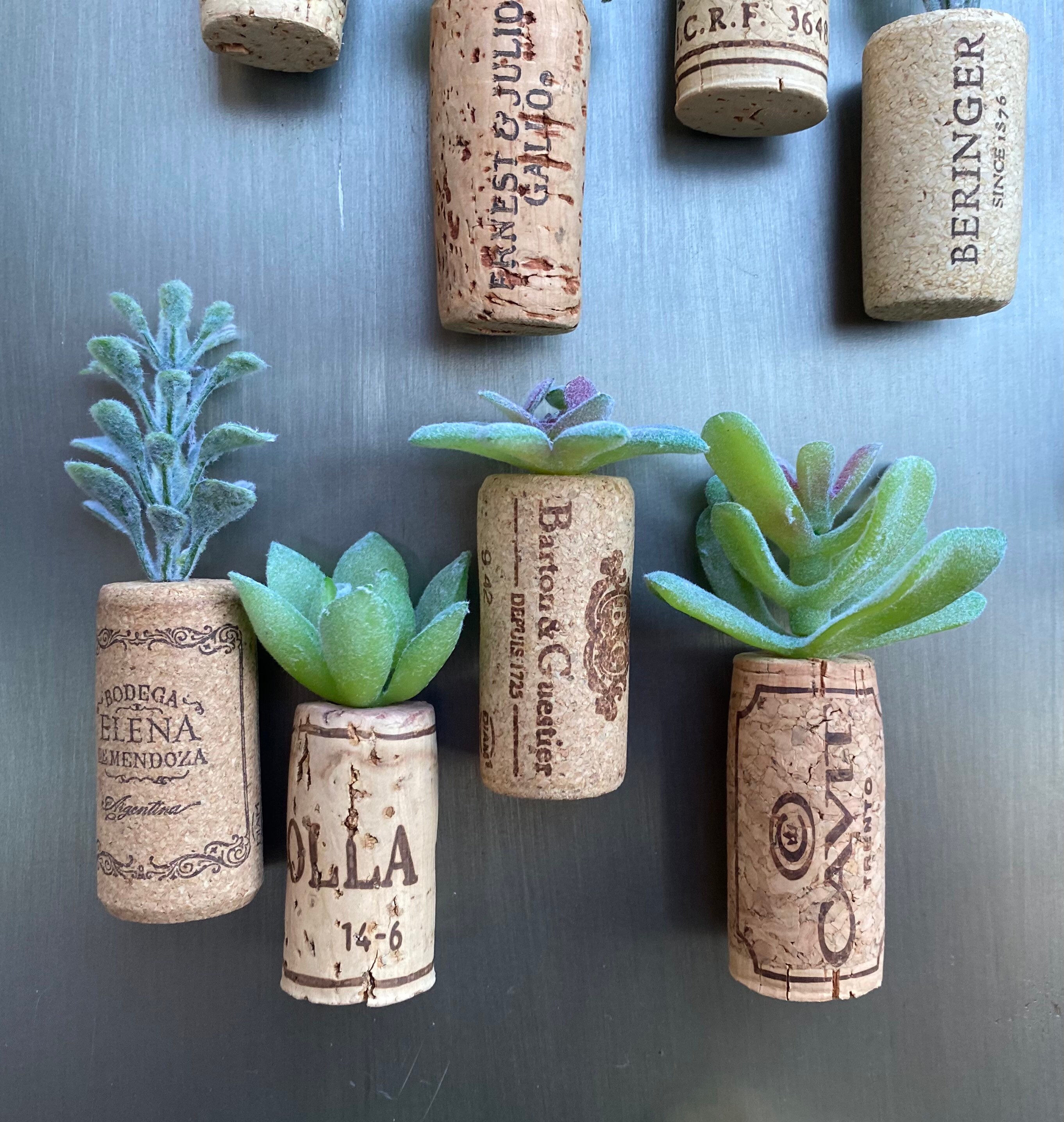 4 Magnet Artificial Succulent set of 4 Corks | Etsy