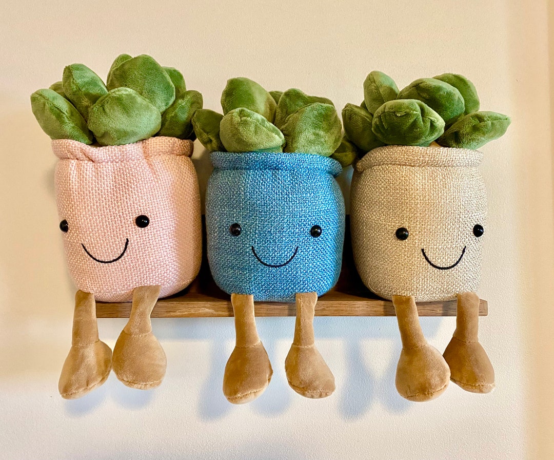 Plush Succulents With Handmade Artificial Succulent Cork Magnets - Etsy