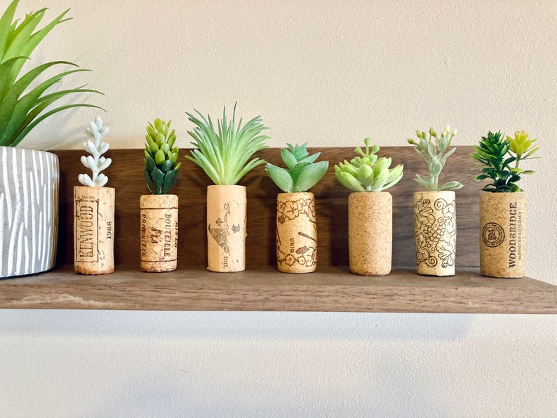 4 Magnet Artificial Succulent set of 4 Corks | Etsy