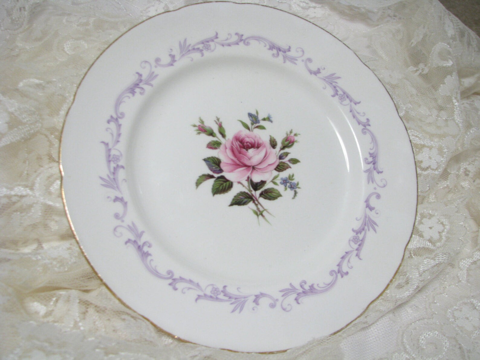 Vintage Paragon Plate Paragon Century Rose 1967 Paragon Bread Butter ...