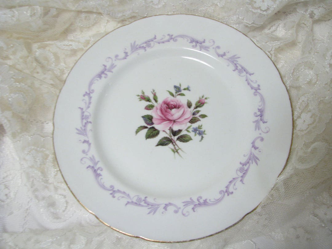 Vintage Paragon Plate Paragon Century Rose 1967 Paragon Bread Butter ...