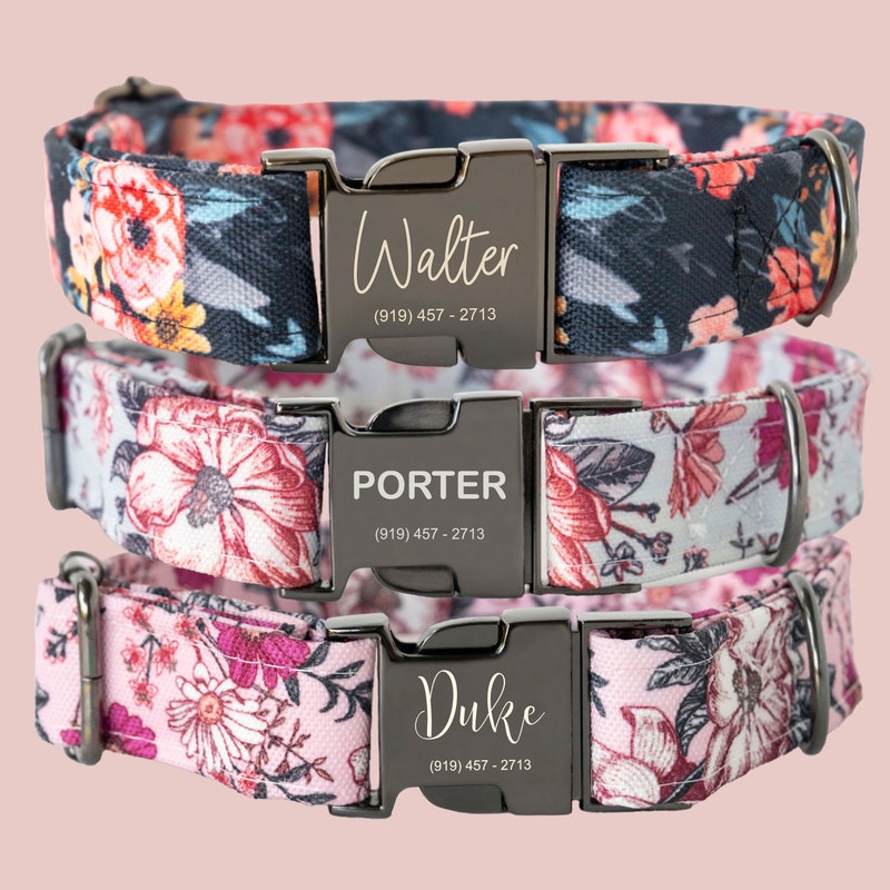 Dog Collar Girl Spring - Etsy