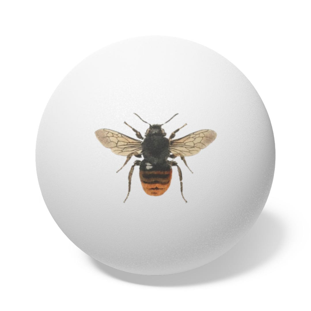 Bee the Ball Ping Pong Balls, 6 Pcs - Etsy