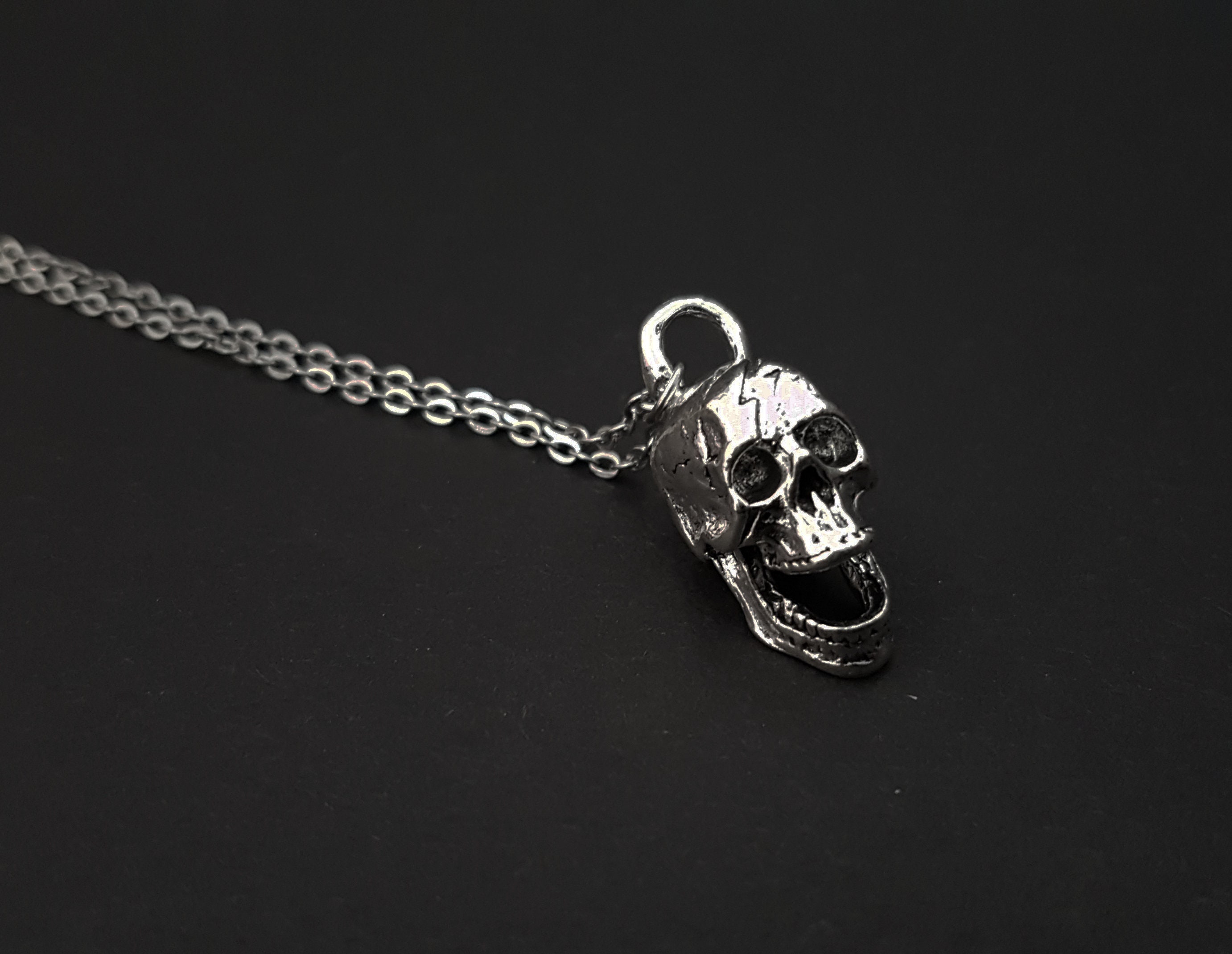 Screaming Skull 50cm Stainless Steel Chain Necklace - Horror, Halloween ...