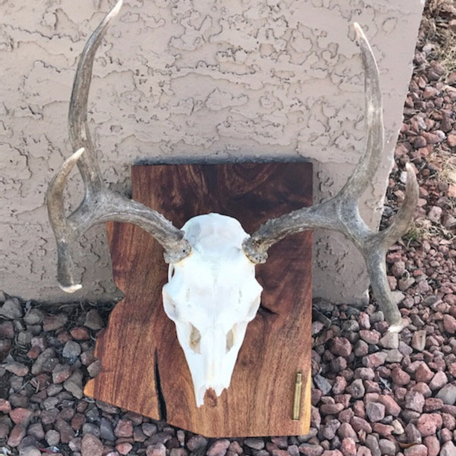 Hand-made Arizona Plaque, Wood Art, Arizona Decor, Mesquite Wood ...