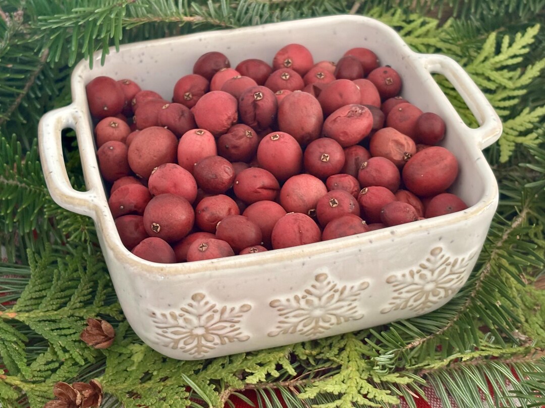 Whole Dried Cranberries for Crafts • Dehydrated Cranberry Beads ...