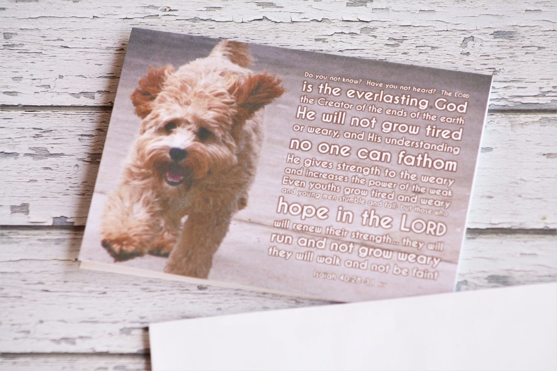 Puppy Dog Scripture Magnet Bible Verse Isaiah 40:28-31 Faith Quote ...