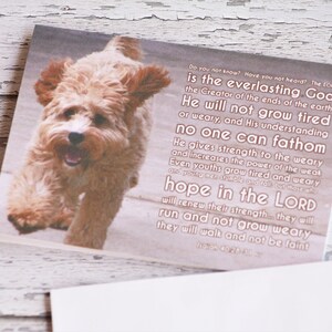 Puppy Dog Scripture Magnet Bible Verse Isaiah 40:28-31 Faith Quote ...