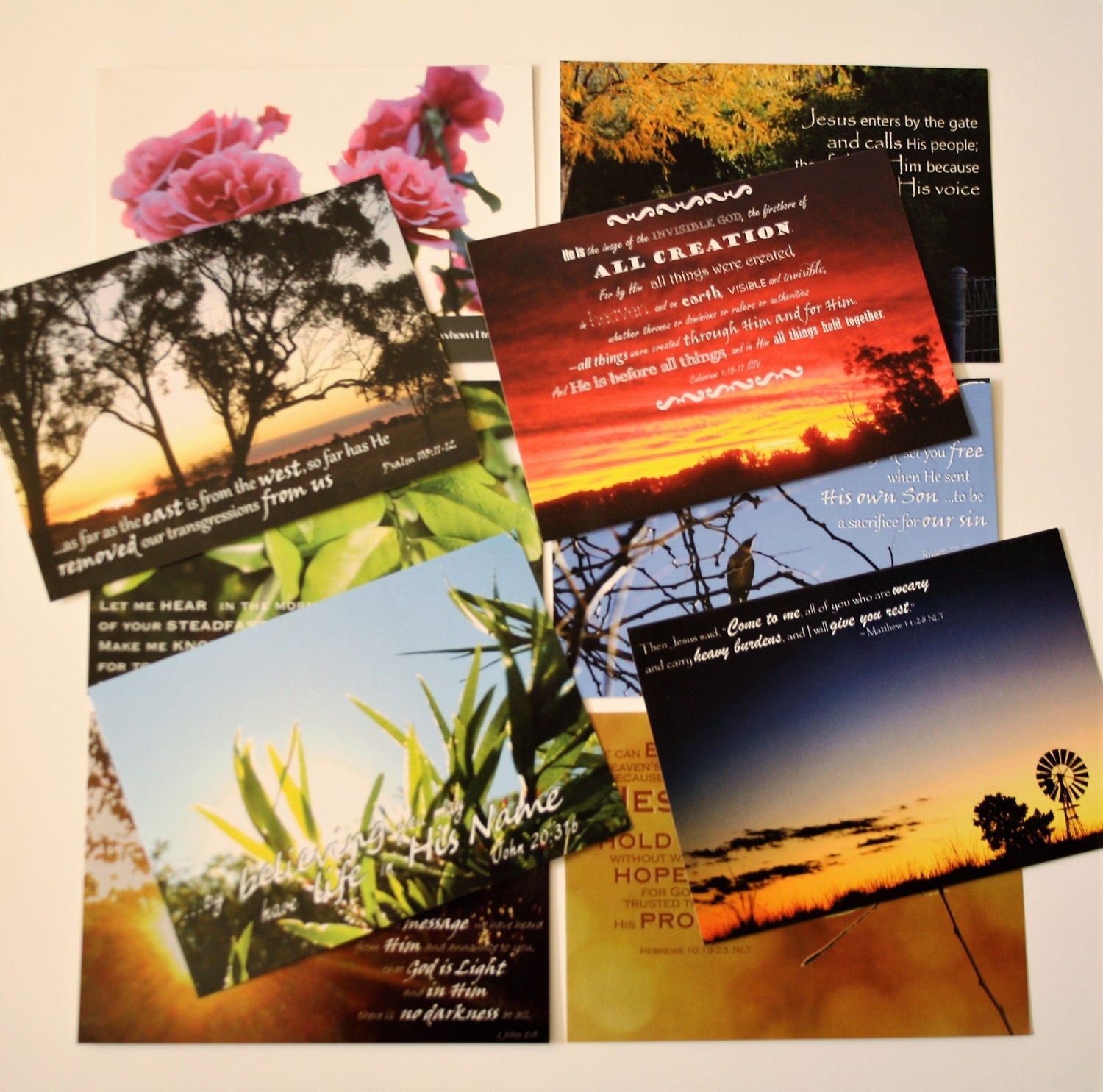 5x Grace and Peace Quote Postcards Set Lavender Photo Bee Art Christian ...