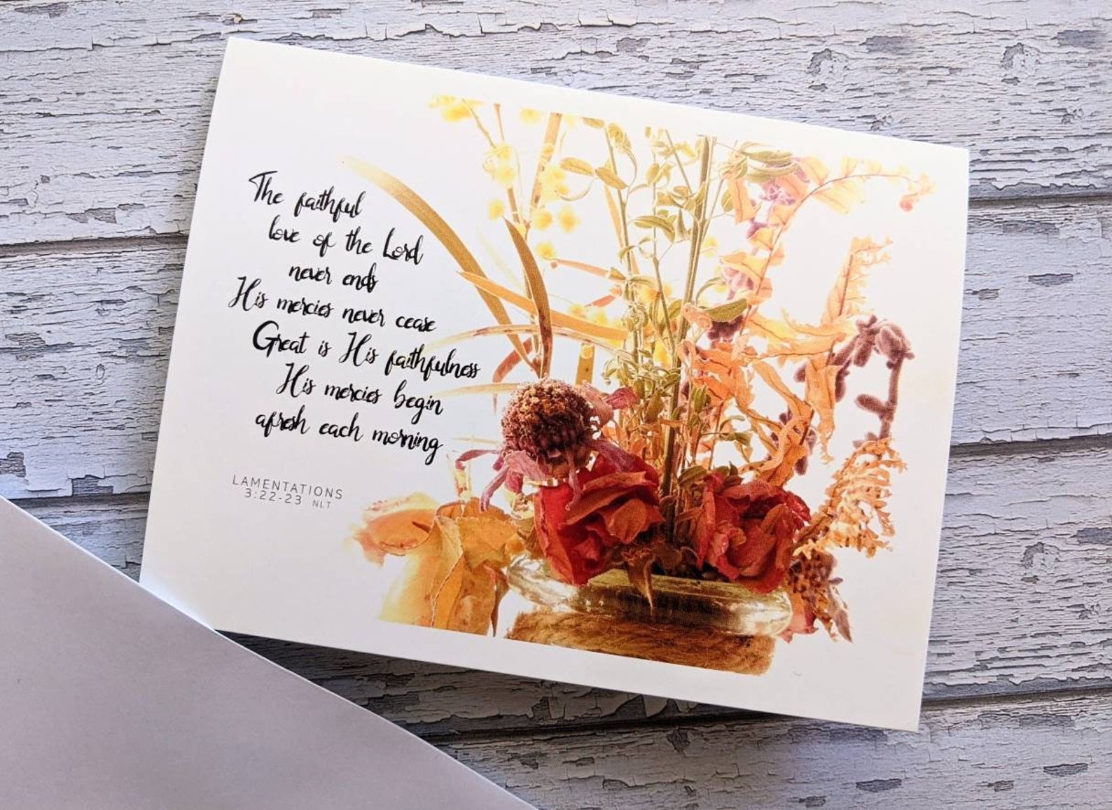 5x Word of Christ Postcard Set Green Fern Colossians 3:16 Word of God ...
