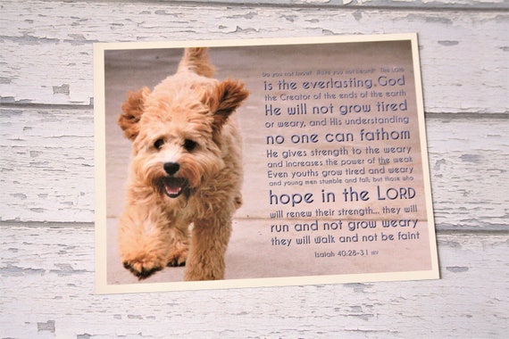 Puppy Dog Scripture Magnet Bible Verse Isaiah 40:28-31 Faith | Etsy