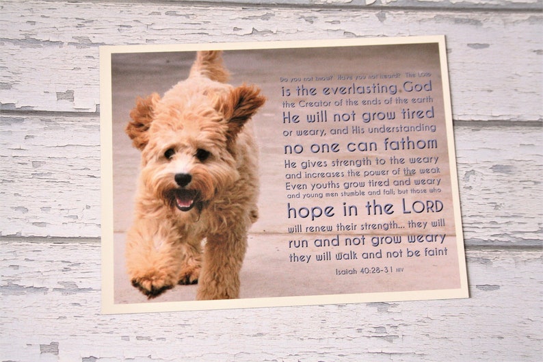 Puppy Dog Scripture Magnet Bible Verse Isaiah 40:28-31 Faith Quote ...