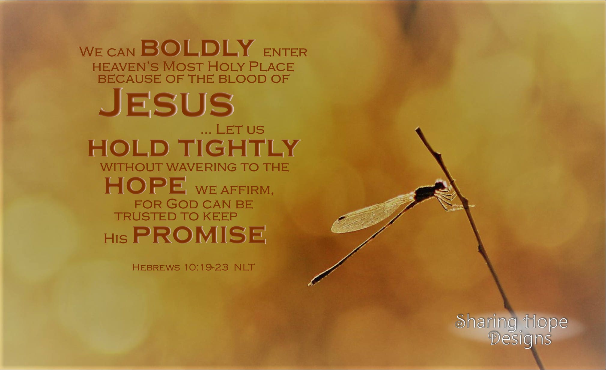 Bible Verse Memory Business Card Inspiring Scripture Palm Card Set ...