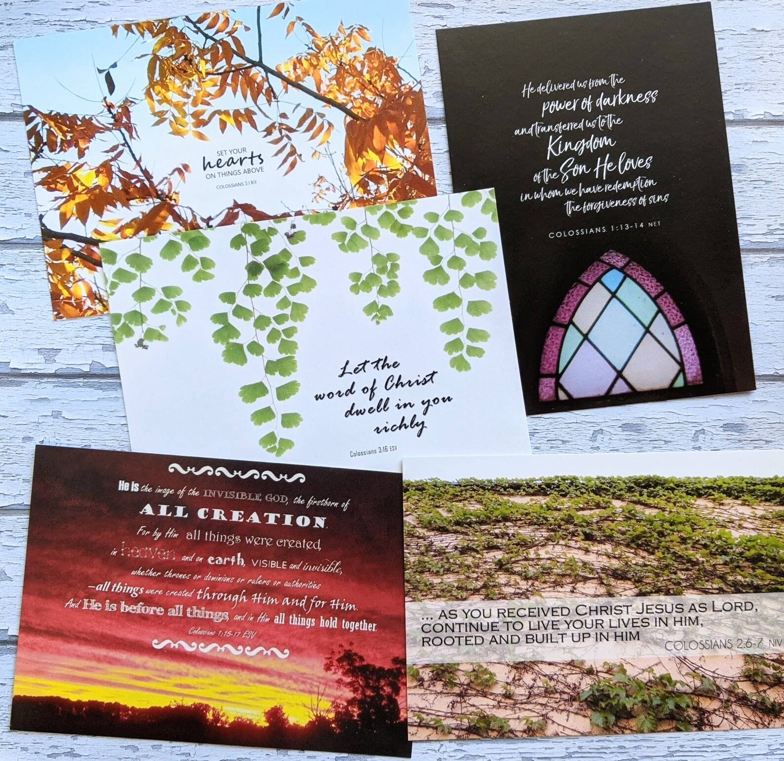 5x Word of Christ Postcard Set Green Fern Colossians 3:16 Word of God ...