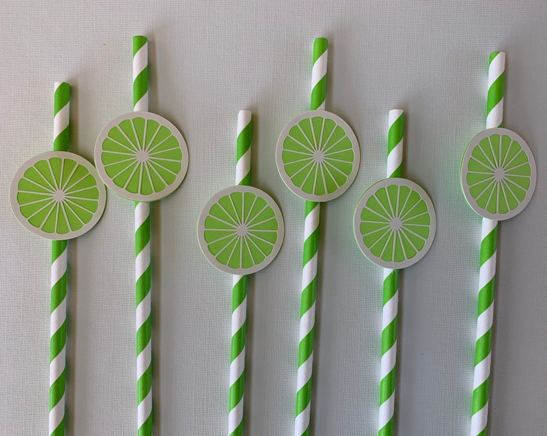 Lemon and Lime Citrus Slice Paper Straws | Etsy