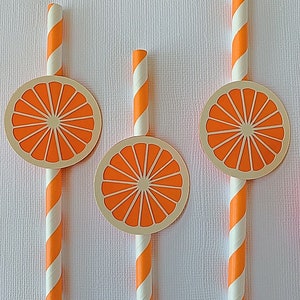 Orange Slice Citrus Party Straws - Etsy