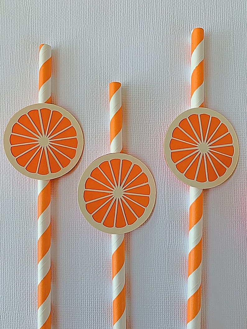 Orange Slice Citrus Party Straws - Etsy