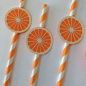 Orange Slice Citrus Party Straws - Etsy