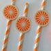 Orange Slice Citrus Party Straws - Etsy
