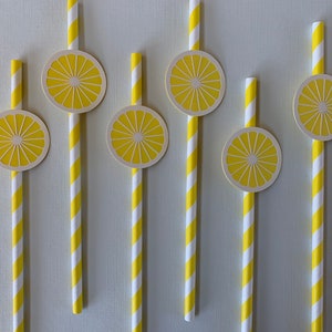 Lemon and Lime Citrus Slice Paper Straws - Etsy