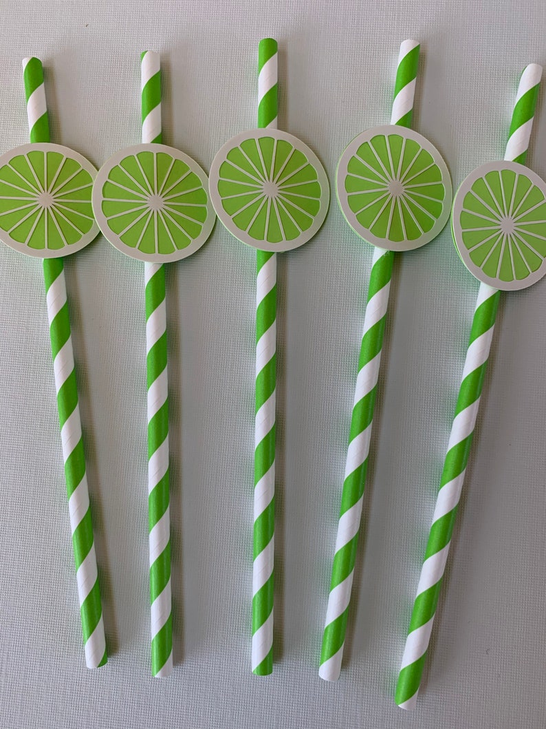 Lemon and Lime Citrus Slice Paper Straws | Etsy