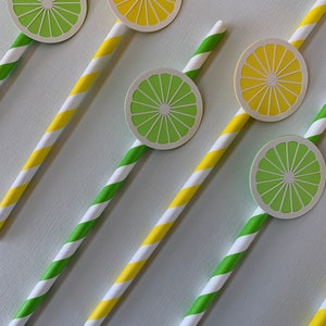 Lemon and Lime Citrus Slice Paper Straws - Etsy
