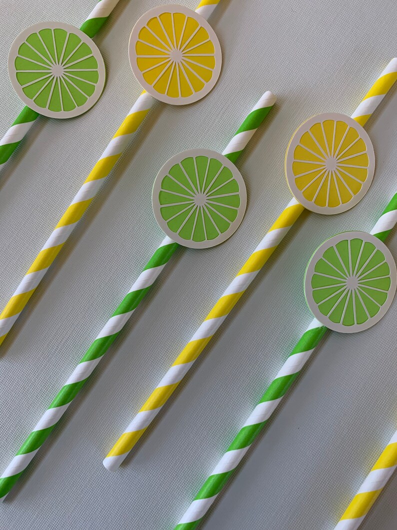 Lemon and Lime Citrus Slice Paper Straws | Etsy
