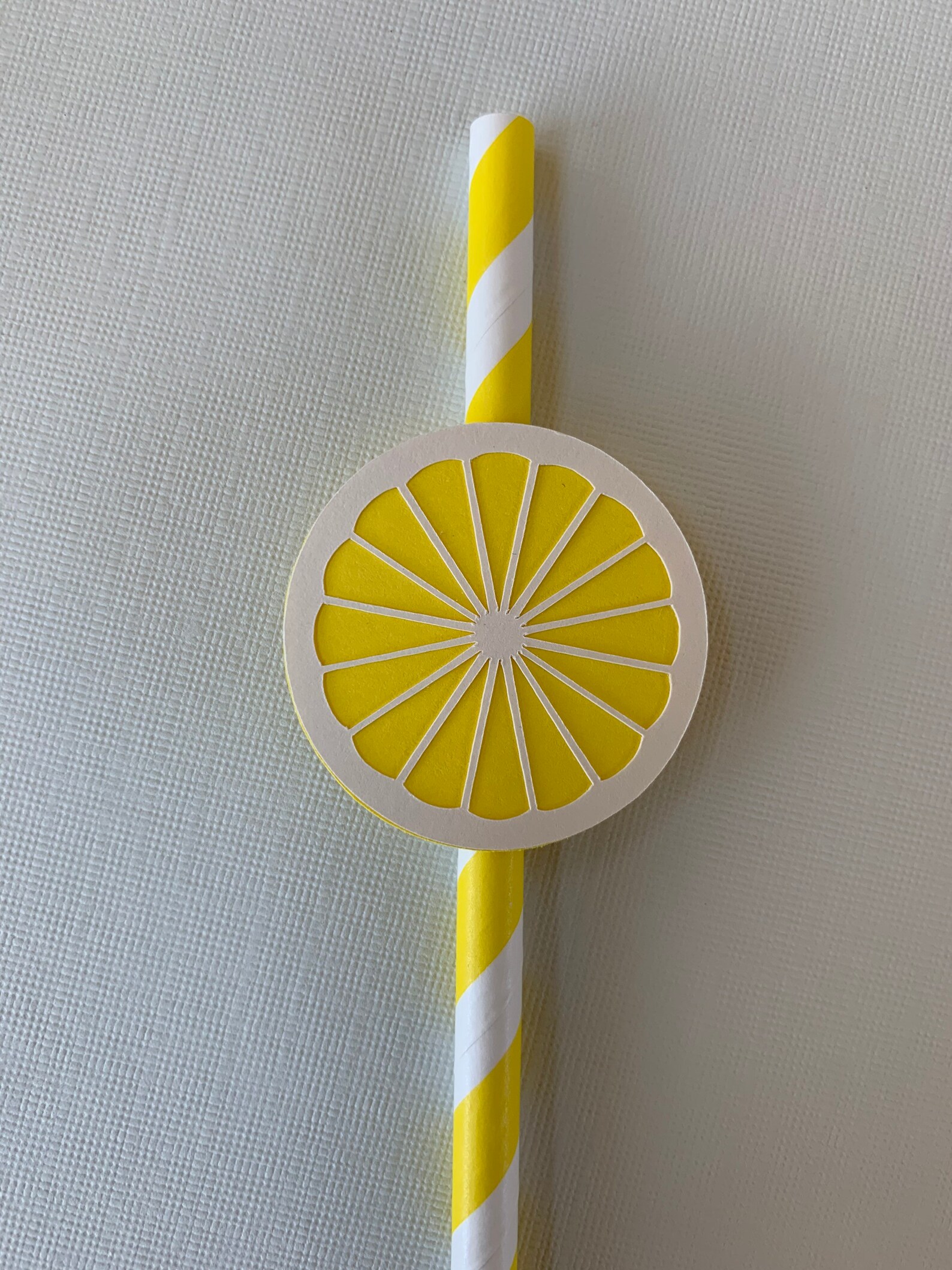 Lemon and Lime Citrus Slice Paper Straws | Etsy