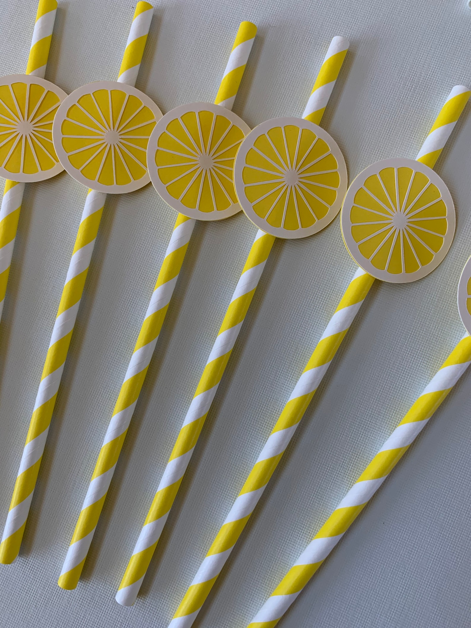 Lemon and Lime Citrus Slice Paper Straws | Etsy