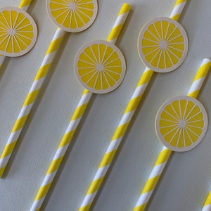 Lemon and Lime Citrus Slice Paper Straws - Etsy
