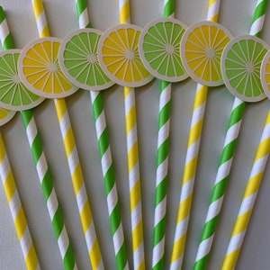 Lemon and Lime Citrus Slice Paper Straws - Etsy