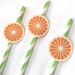 Orange Slice Citrus Party Straws - Etsy