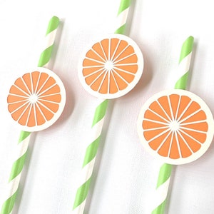 Orange Slice Citrus Party Straws - Etsy