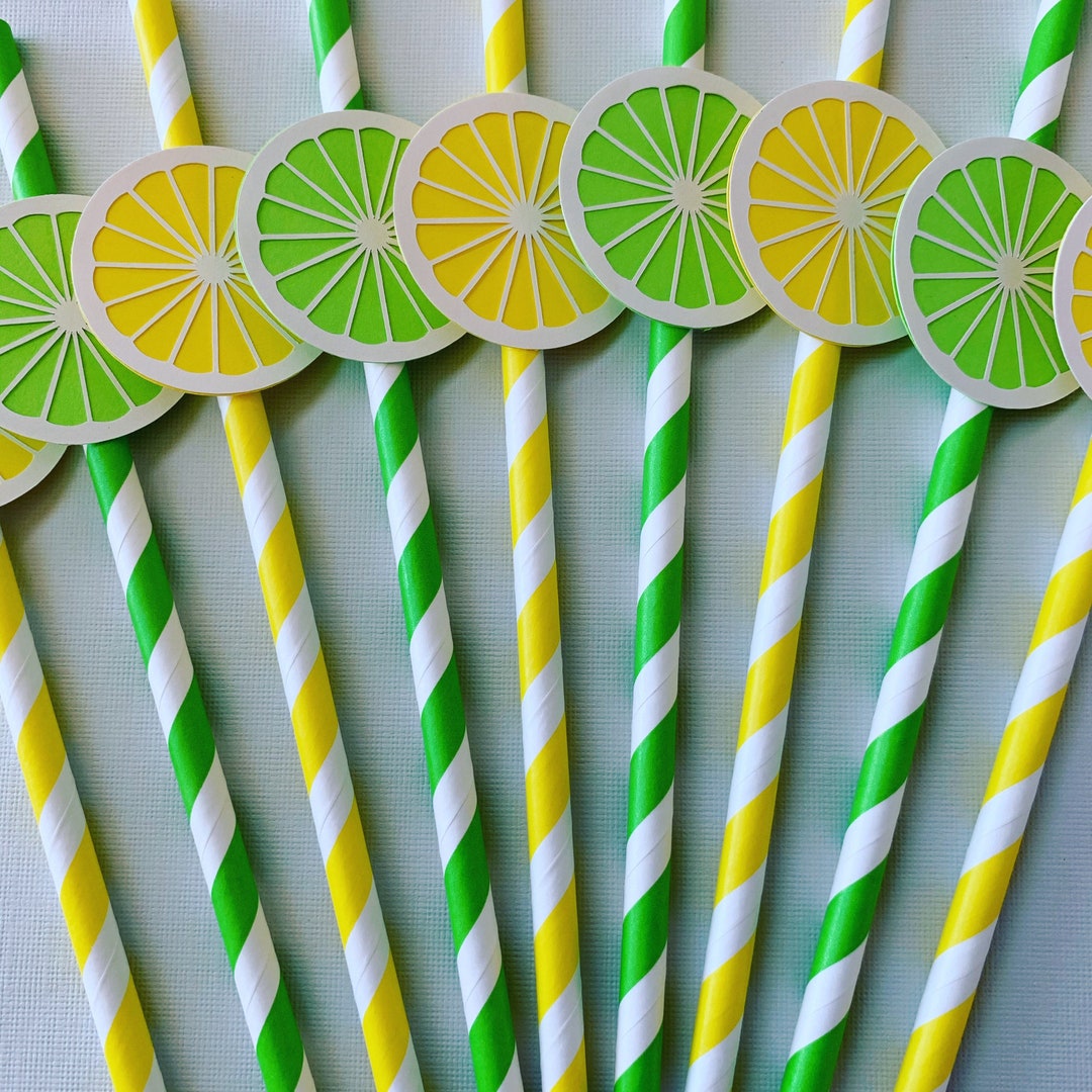 Lemon and Lime Citrus Slice Paper Straws - Etsy