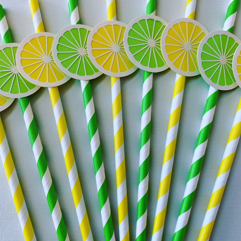 Lemon and Lime Citrus Slice Paper Straws | Etsy