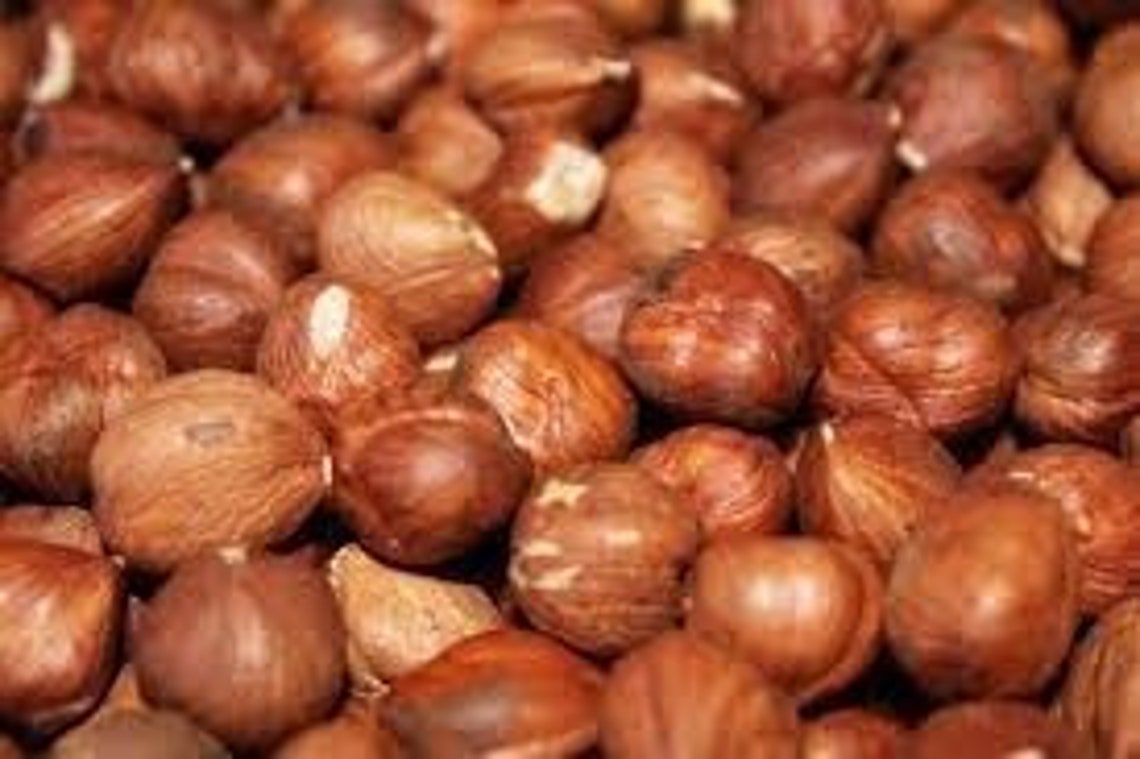 Gourmet Hazelnuts by Its Delish raw One Pound - Etsy