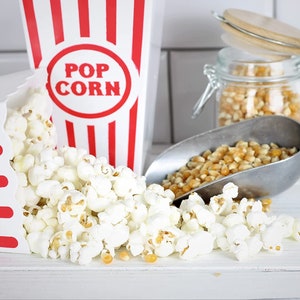 Gourmet Kettle Corn Popcorn by It's Delish - Etsy