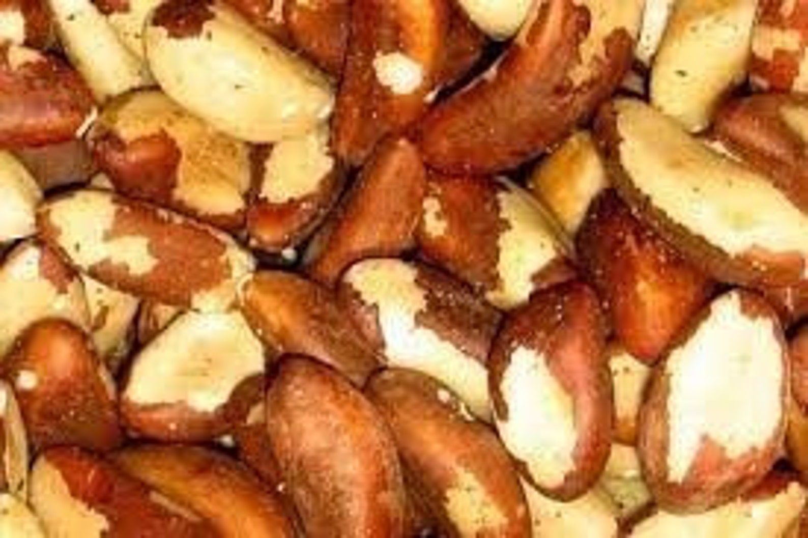 Gourmet Brazil Nuts by Its Delish (one Pound) - Etsy