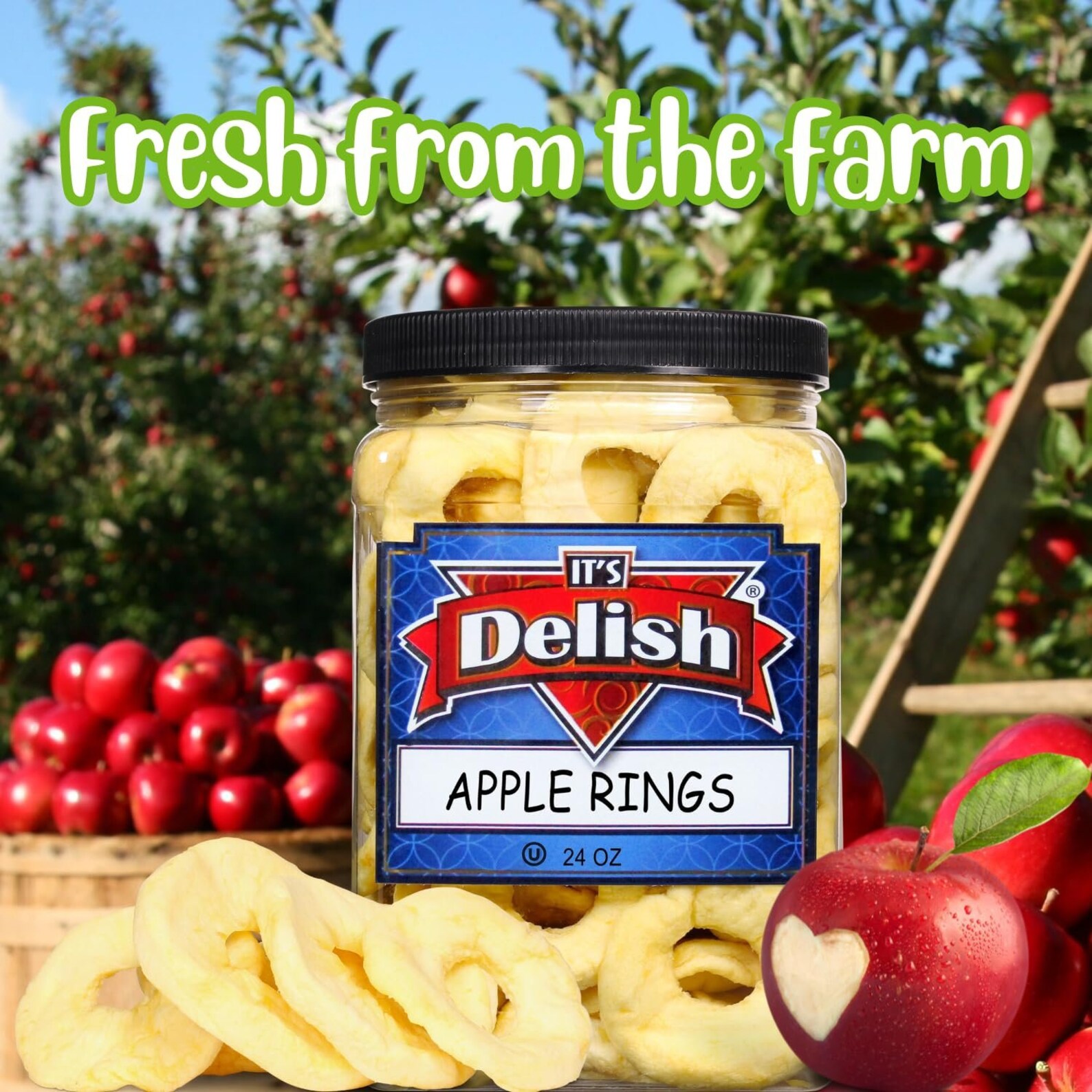 Dried Apple Rings by Its Delish, 24 OZ Jumbo Container | Soft Moist ...