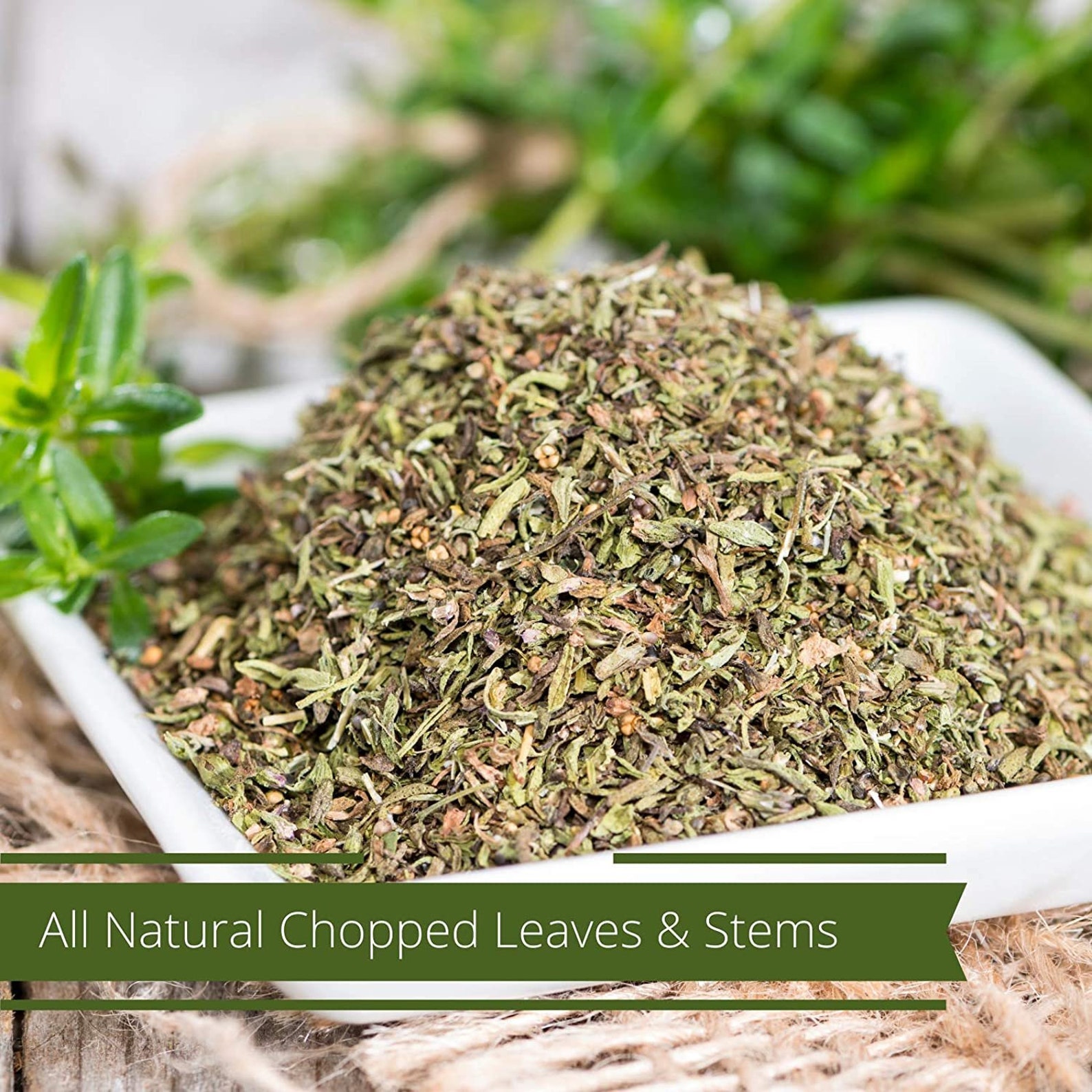 Gourmet Dried Chopped Savory Leaves by It's Delish 5 Lbs | Etsy