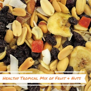Tropical Mix Fruit and Nuts Trail Mix by It’s Delish – Bulk 2.5 Lbs ...