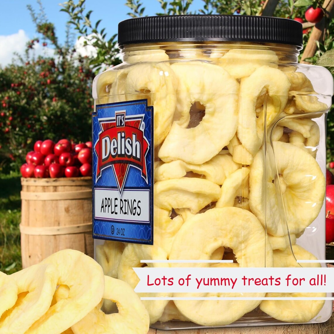 Dried Apple Rings by Its Delish, 24 OZ Jumbo Container | Soft Moist ...