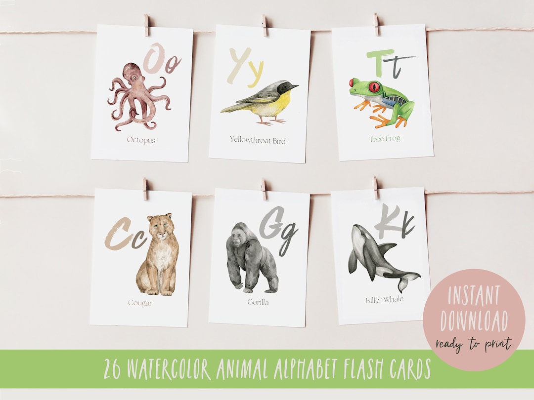 Watercolor Animal Alphabet Flashcards, Classroom Resource, Early ...