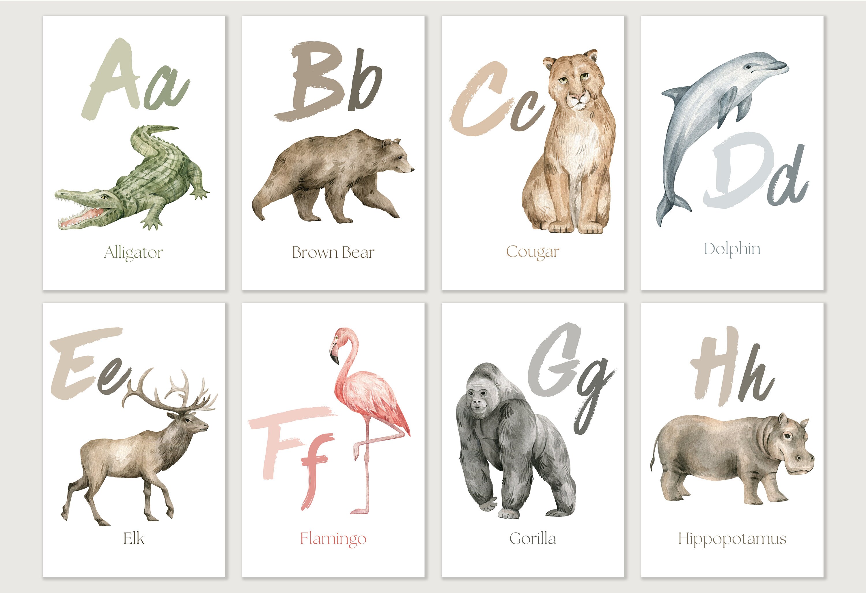 Watercolor Animal Alphabet Flashcards, Classroom Resource, Early ...