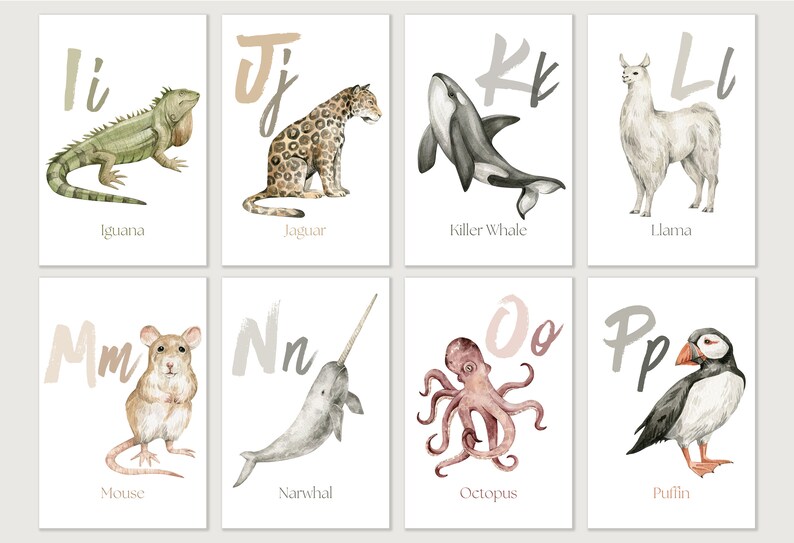 Watercolor Animal Alphabet Flashcards, Classroom Resource, Early ...