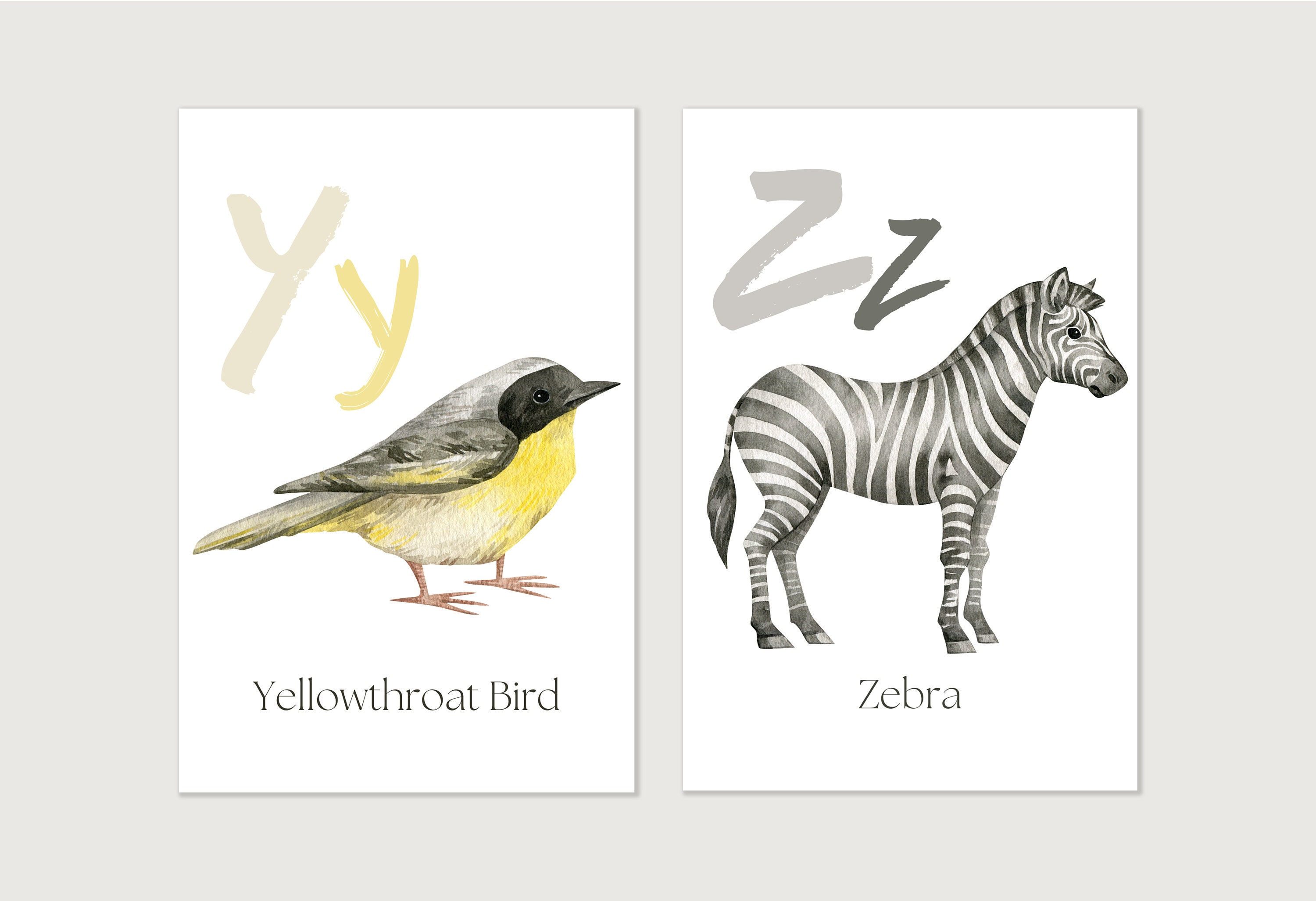 Watercolor Animal Alphabet Flashcards, Classroom Resource, Early ...