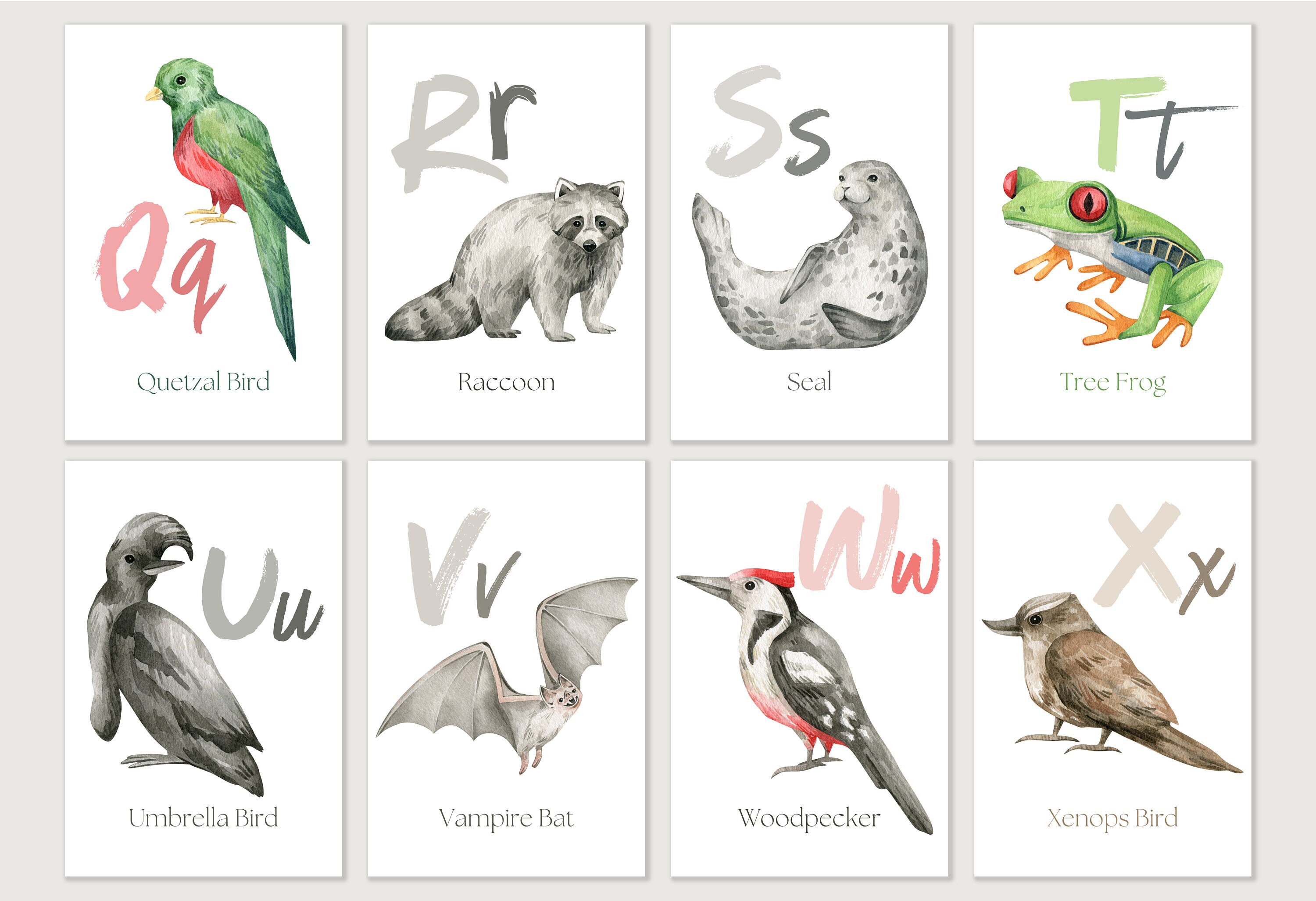 Watercolor Animal Alphabet Flashcards, Classroom Resource, Early ...